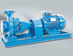 Eifel pumps | EAD Serise