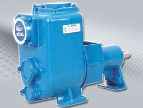 Eifel Pumps | Products