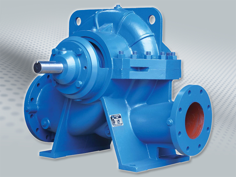 Eifel pumps | EJ Serise