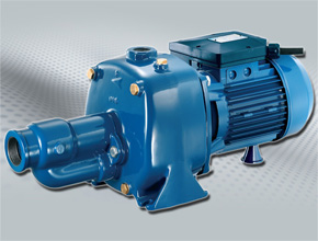 Pentex Pumps | Products